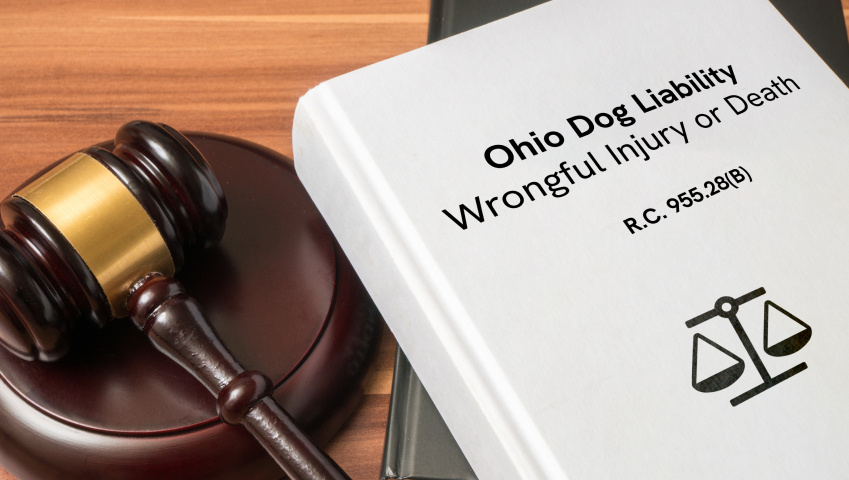 Dog Bite Lawyers | Ohio’s Dog Owner Liability Explained